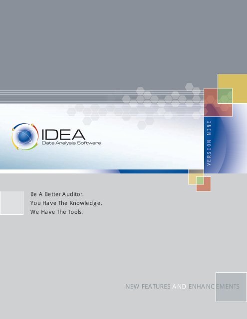 IDEA Version Nine New Features and Enhancements - AuditWare ...