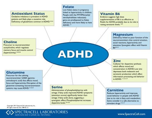 ADHD (wheel) - SpectraCell Laboratories