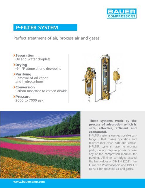 P-Filter System - BAUER Compressors