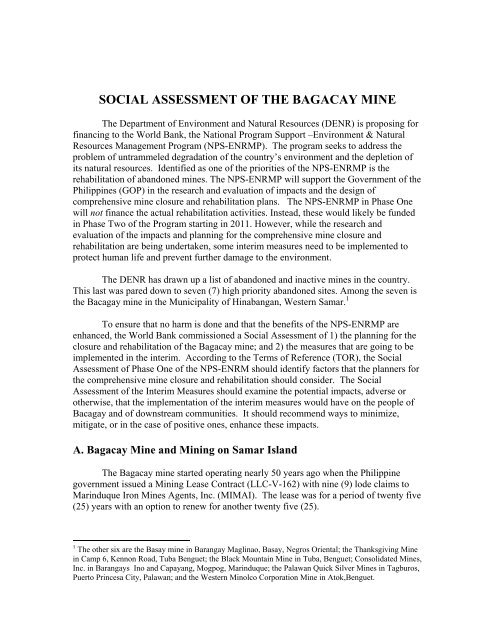 Social Assessment of the Bagacay Mine - Environmental ...