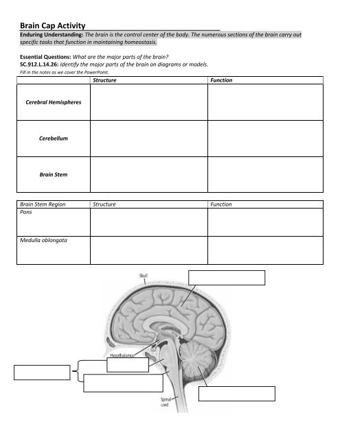 Printable Brain Cap Activity