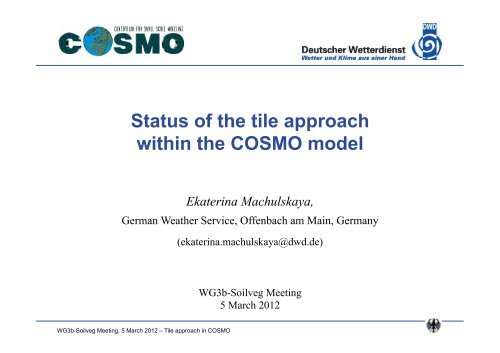 Tiled Surface Scheme within the 3d COSMO model