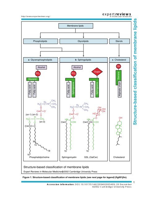 Structure-based classification of membrane lipids - Cambridge ...