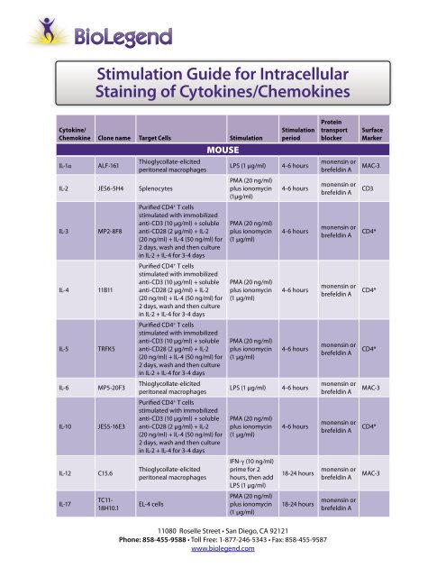 View Protocol - BioLegend