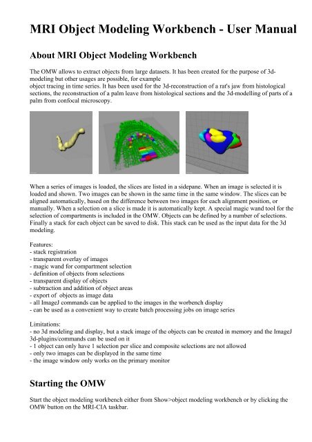 The MRI Object Modeling Workbench Manual (pdf)