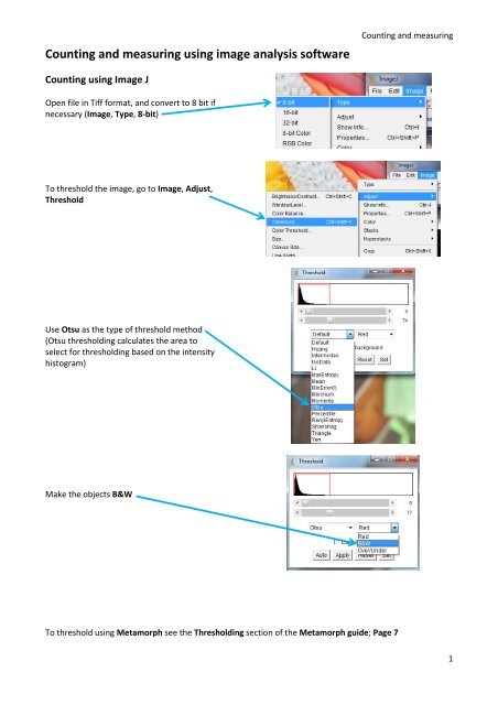 Counting and measuring using image analysis software