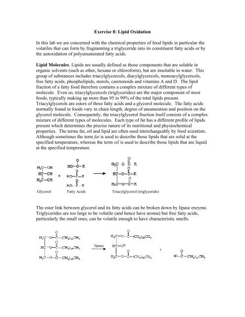 Exercise 8: Lipid Oxidation