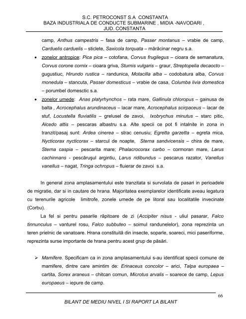 S.C. PETROCONST S.A CONST