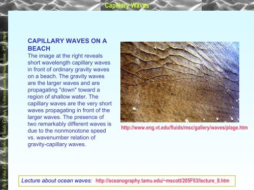 Capillary Waves