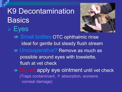 K9 Decontaminatio
