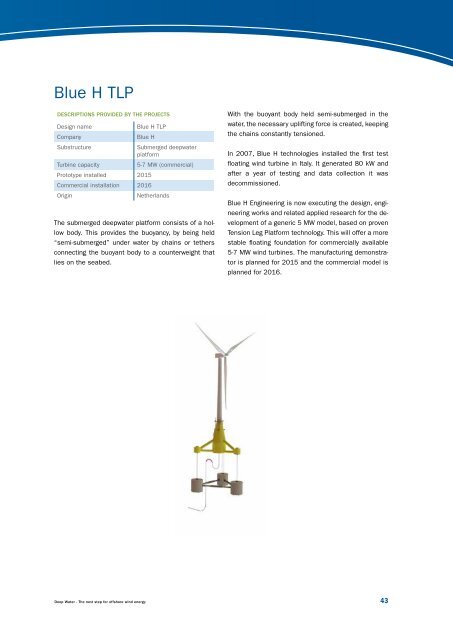 Blue H TLP Descriptions p