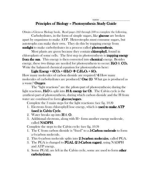 Photosynthesis Study Guide Photosynthesis Study Guide ...