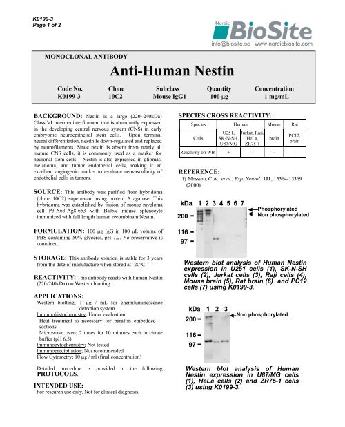 Anti-Human Nestin - Nordic Biosite