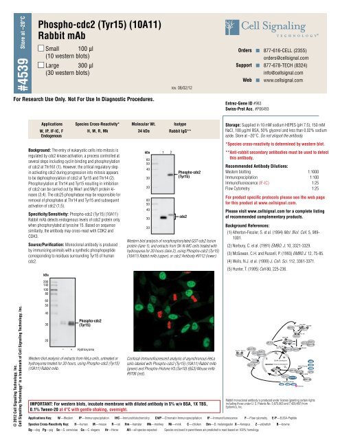 datasheet PDF - Cell Signaling Technology