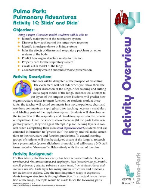 Pulmo Park: Pulmonary Adventures Activity 1C: Slicin' and Dicin'