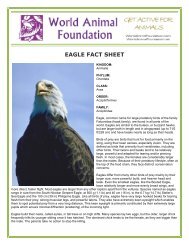 FOX FACT SHEET - World Animal Foundation