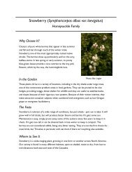Vascular Plant List - Washington Native Plant Society