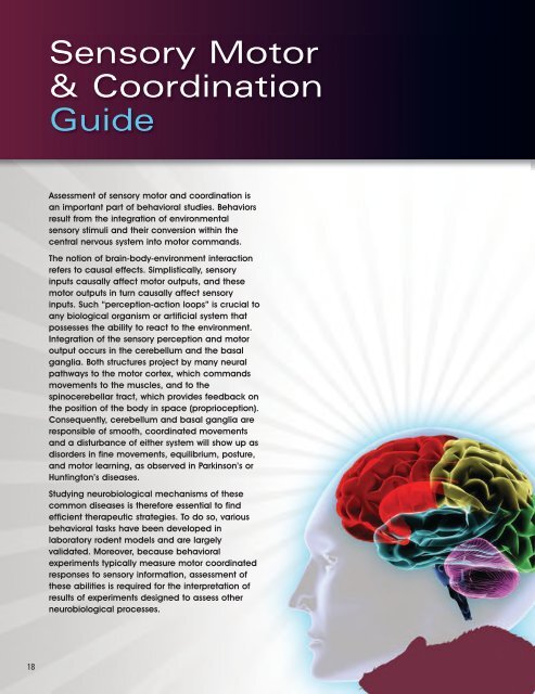 Sensory Motor & Coordination Guide