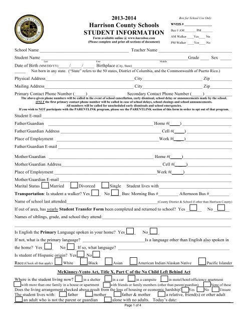Fill, Print, and Save STUDENT INFORMATION FORM