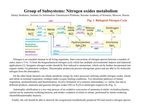 Nitrogen Group
