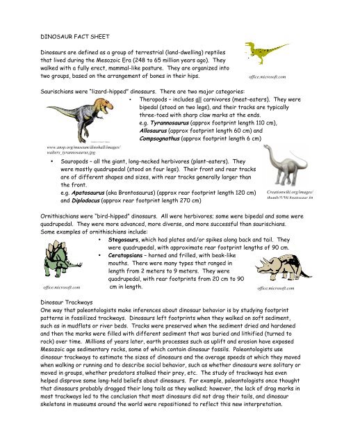 dino fact sheet