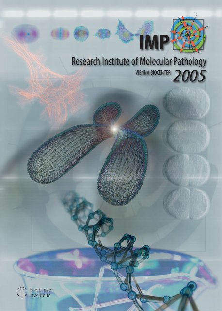 IMP Research Report 2005