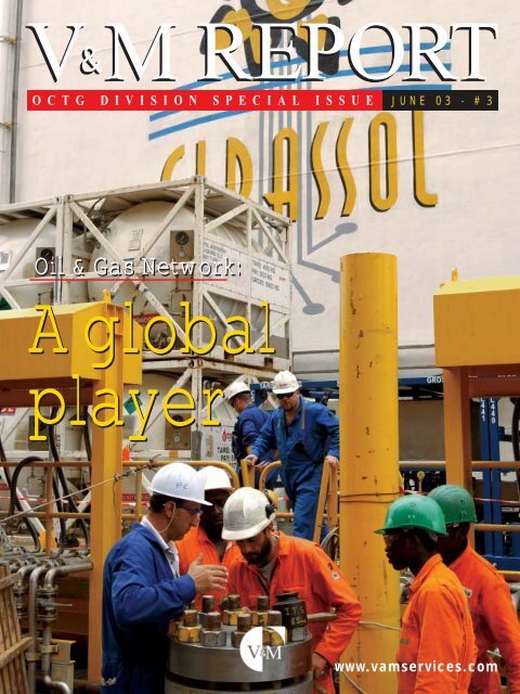 V & M Report #03 - VAM Services