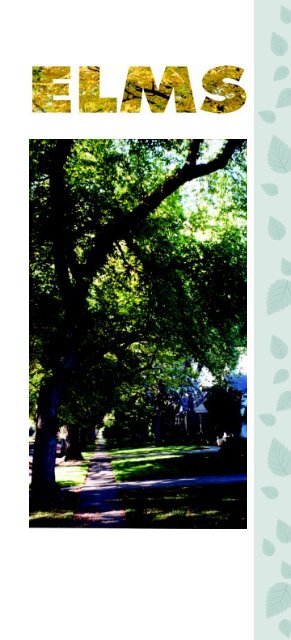 elm guide - Sacramento Tree Foundation elm guide - Sacramento Tree Foundation