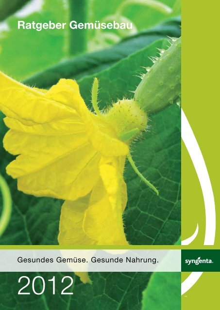 Ratgeber GemÃ¼sebau - Syngenta