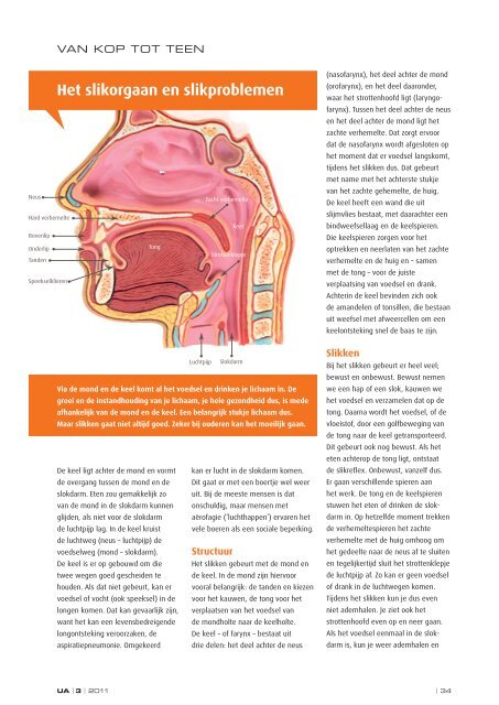 Het slikorgaan en slikproblemen - Logopedie.nl