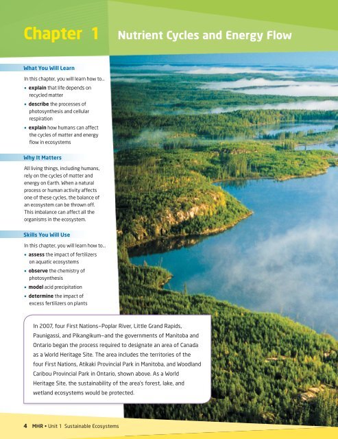 Chapter 1 Nutrient Cycles and Energy Flow - McGraw-Hill Ryerson