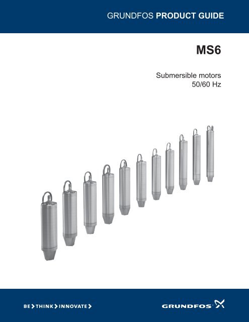 MS6 - Grundfos