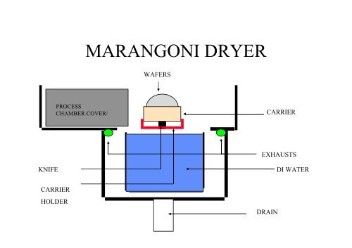 MARANGONI DRYER