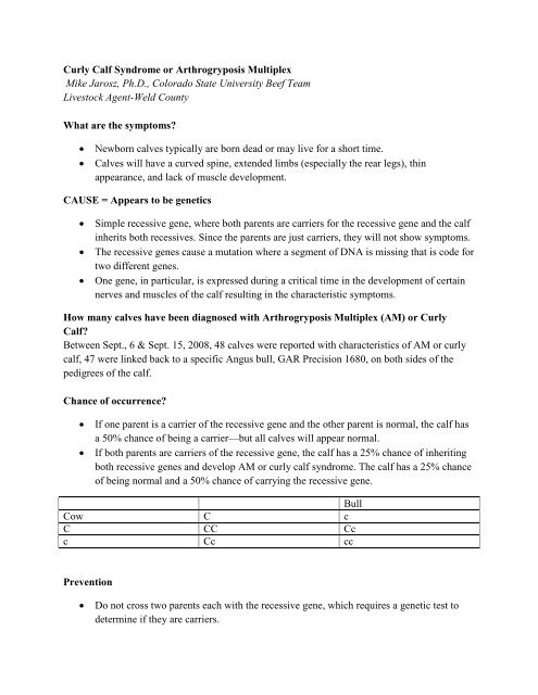 Curly Calf Syndrome or Arthrogryposis Multiplex - Colorado State ...