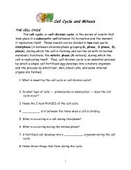 cell cycle and mitosis internet lesson_updated