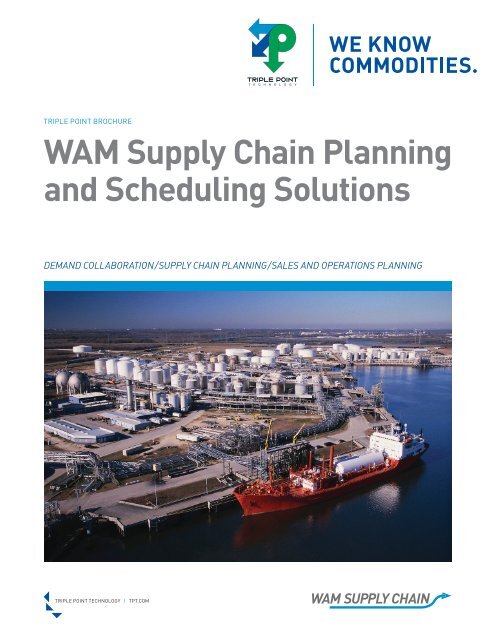 WAM Supply Chain Planning and Scheduling Solutions Overview