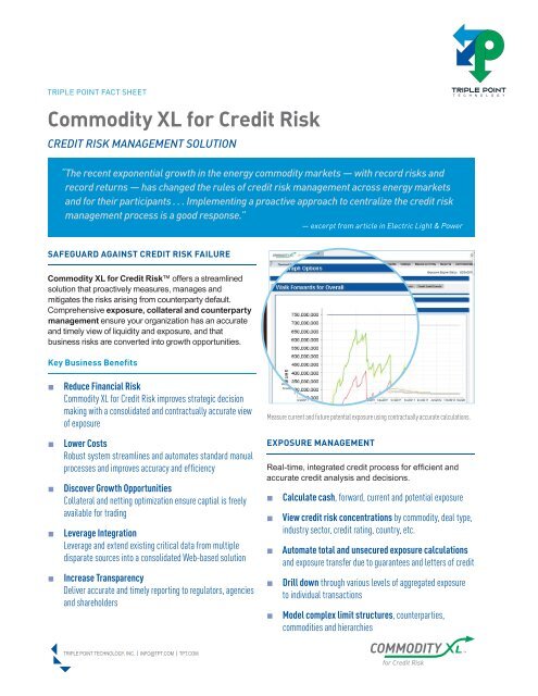 Commodity XL for Credit Risk - Triple Point Technology, Inc.