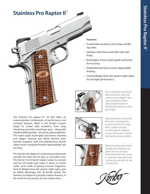 Kimber 1911 Raptor