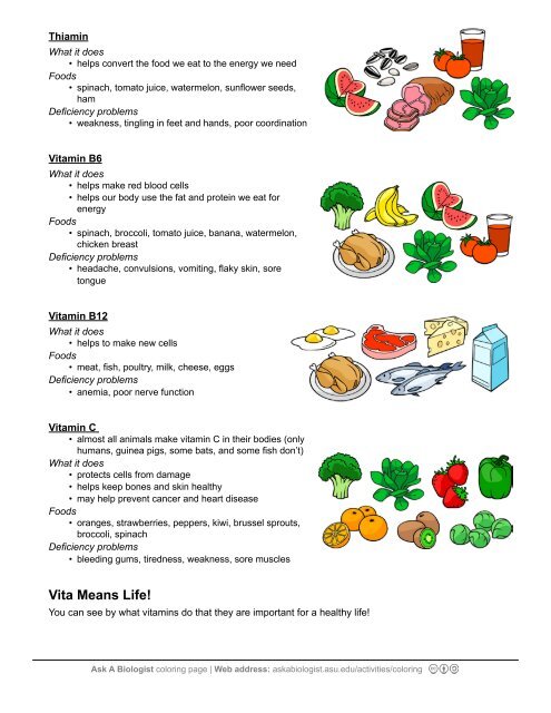 Vitamin K • made by bac