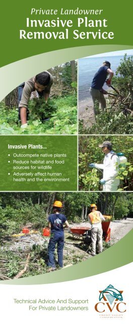 CVC Invasive Plant Removal Services - Credit Valley Conservation