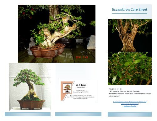 Escambron Care Sheet