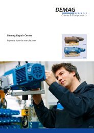 Demag Process Cranes - Demag Cranes & Components