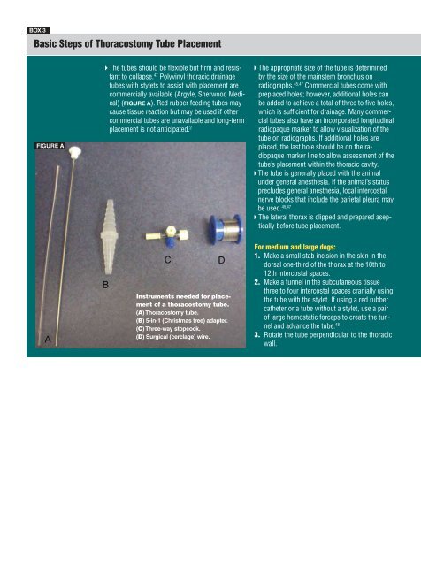 Basic Steps of Thoracostomy Tube Placement - Wendy Blount, DVM