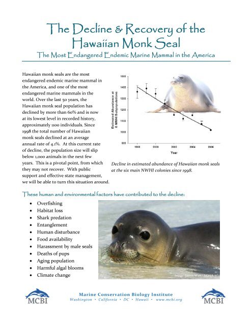 The Decline & Recovery of the Hawaiian Monk Seal - Marine ...