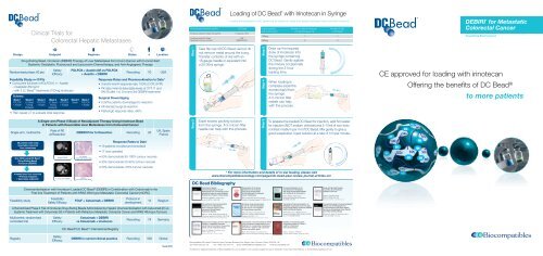 DEBIRI Detail Aid CE Approved spreads.pdf - Biocompatibles