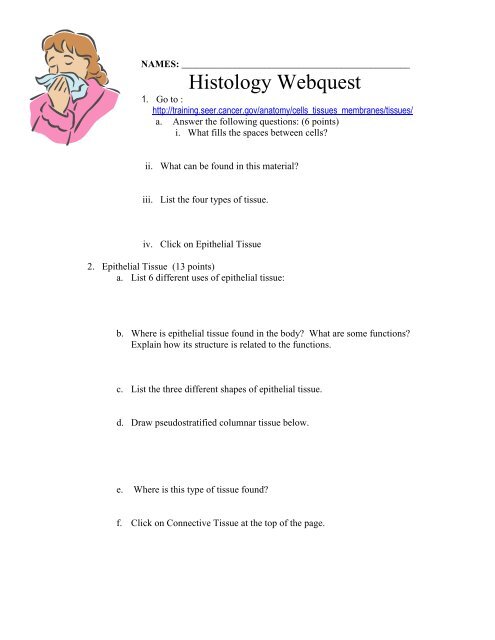 Epithelial Tissue Worksheet 50+ Tissues Worksheets On Quizizz | Free