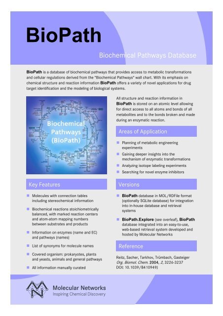 BioPath - Molecular Networks