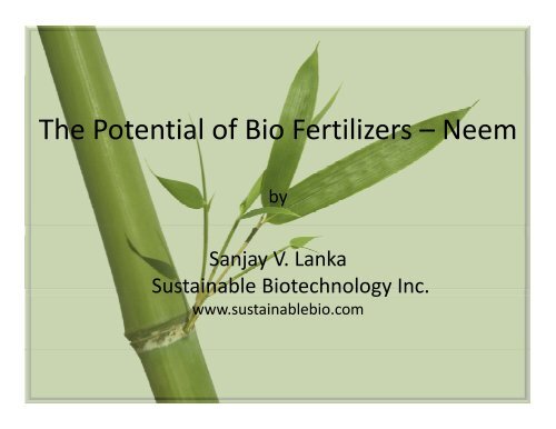 View Presentation. - MBITA