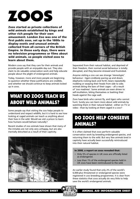 WHAT DO ZOOS TEACH US ABOUT WILD ANIMALS ... - Animal Aid