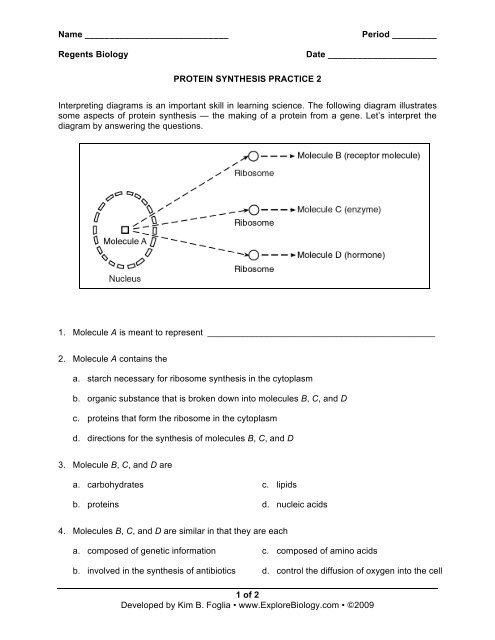Protein Synthesis Practice #2